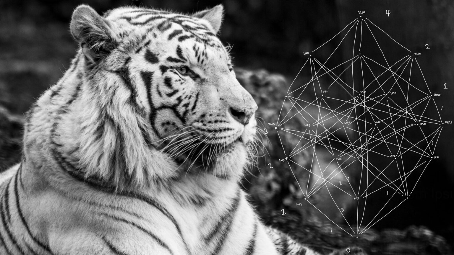 Sydney Mathematical Research Institute